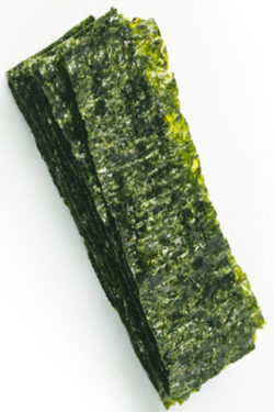 Clarification and concentration algal extract - TAMI Industries : TAMI ...